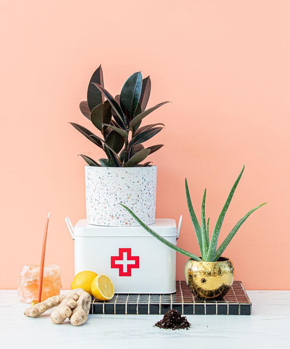 Creatives: Meredith McRae x Foli