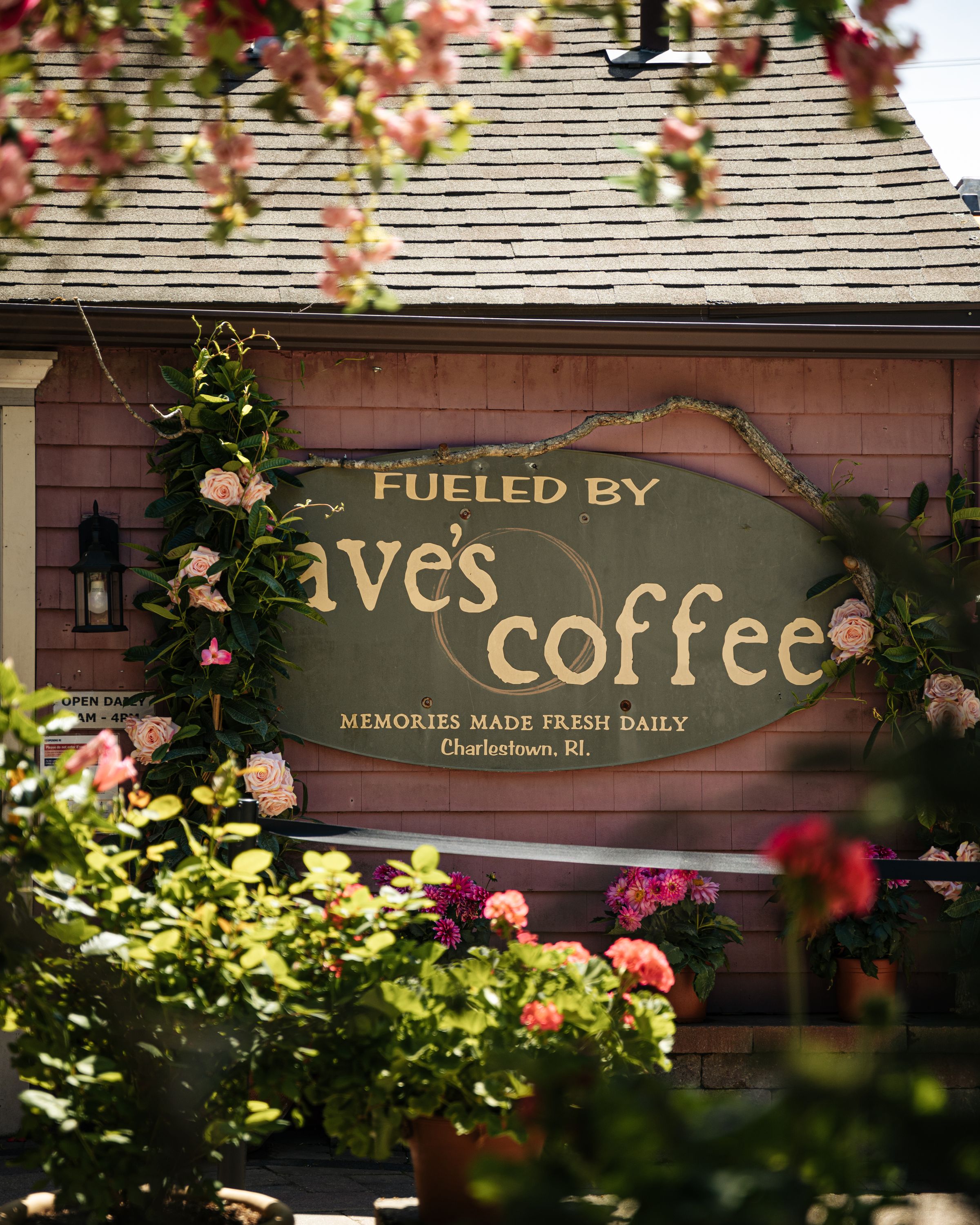 Dave's Coffee: Sustainable Coffee from the Ground Up