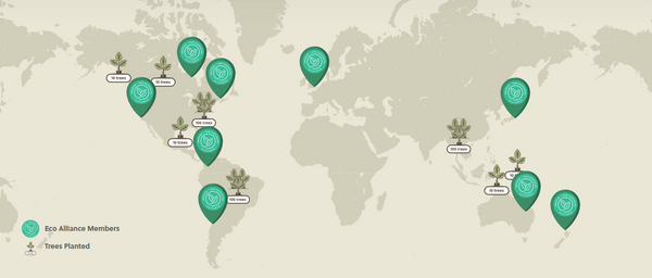 What is A Sustainable Packaging Coalition?