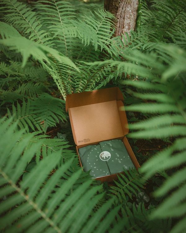 Is Tissue Paper Recyclable An Easy Guide To Reusing Or Disposing Of is-tissue-paper-recyclable-an-easy-guide-to-reusing-or-disposing-of